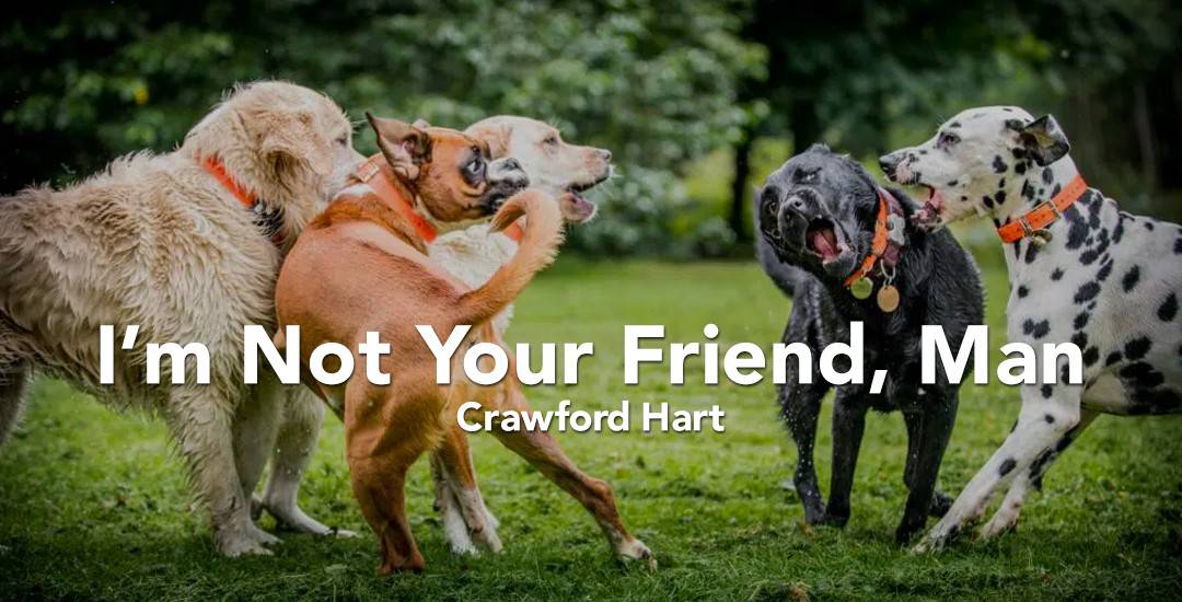 I’m Not Your Friend, Man - MDI - Mentoring men to live with excellence ...